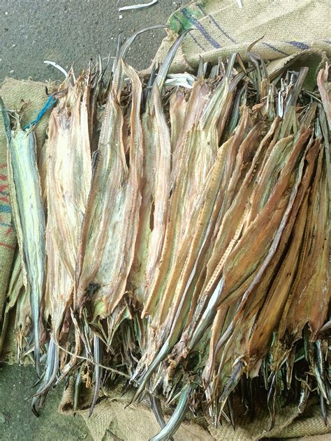 ငါးရွှေပြာ အသေး အလတ် အကြီး ၃ ဆိုဒ် ရပါမယ် အသေး 10000 အလတ် 13500 အကြီး 14500 ဘုရင့