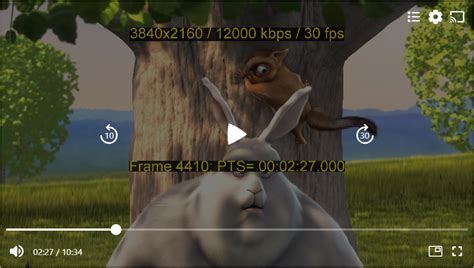 Example Application Dolby Optiview Documentation