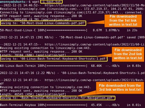 The Wget Command In Linux 14 Practical Examples