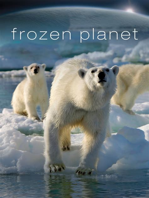 Frozen Planet Rotten Tomatoes