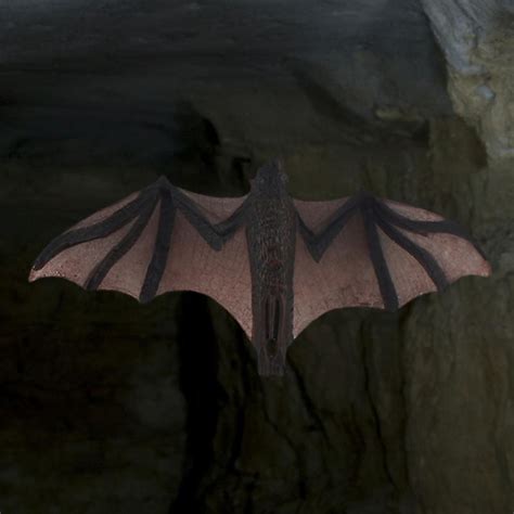 Model Toy Realistic Form Multi Use Pvc Simulation Bat Model Figure For
