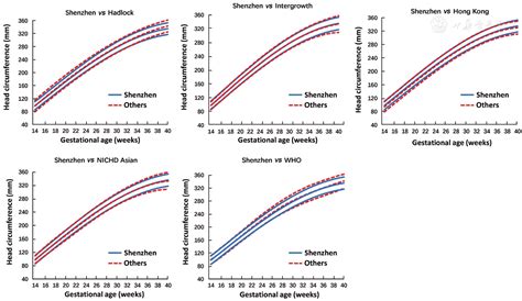 Fetal Growth Chart Percentile