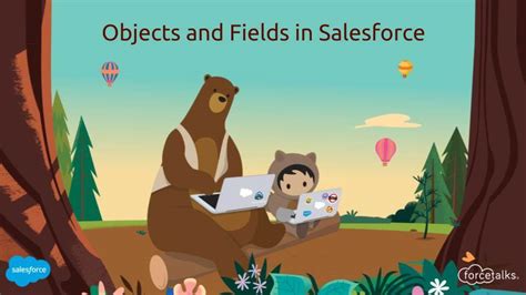 How To Implement Custom Validation In A Salesforce Lightning Input
