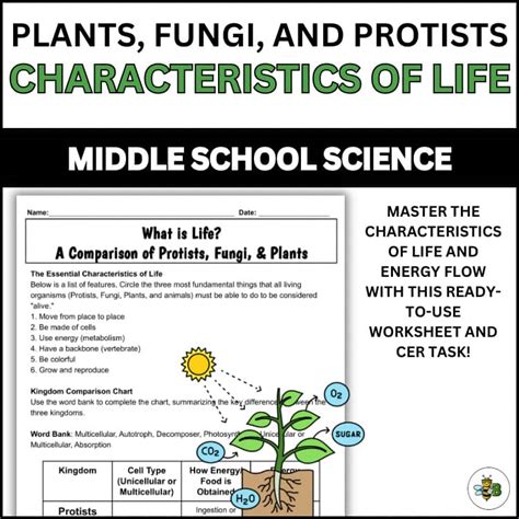 Protists Fungi Plants Worksheet And Cer 6th Grade Life Science Ngss