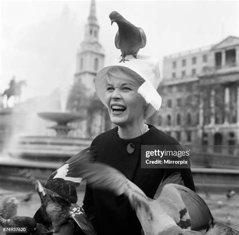 162 Dorothy Provine Photos And High Res Pictures Getty Images