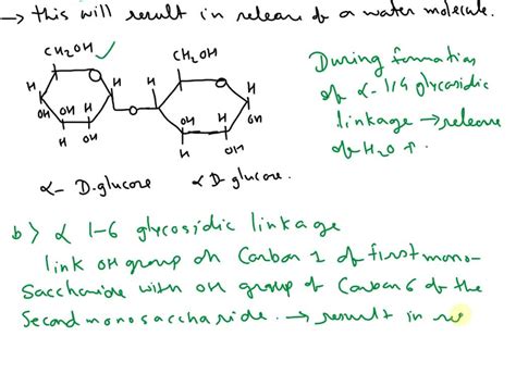 Solved 3a Assuming That You Started With The Molecules Of The