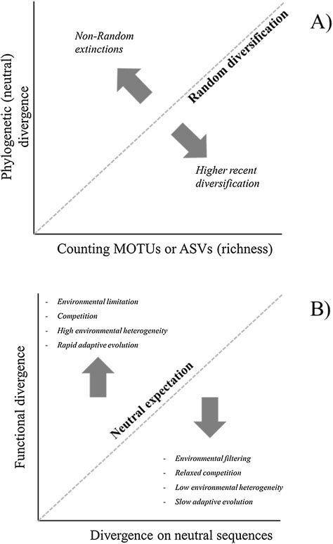 Environmental Dna And Biodiversity Patterns A Call For A Community Phylogenetics Approach