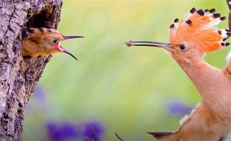 【azure developer】遇见了类型冲突问题 java util collections singletonlist cannot be cast to java lang