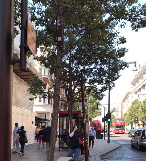 zeynep beyza ayman medium