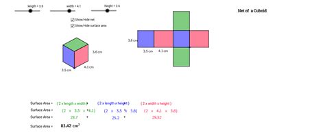 Cuboid Net