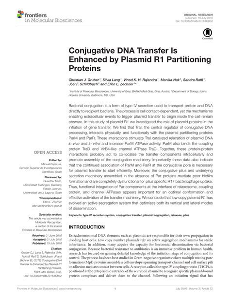 Pdf Conjugative Dna Transfer Is Enhanced By Plasmid R1 Partitioning Proteins