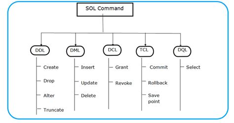 Database Management System Important Notes 2023 24 Sikshapath