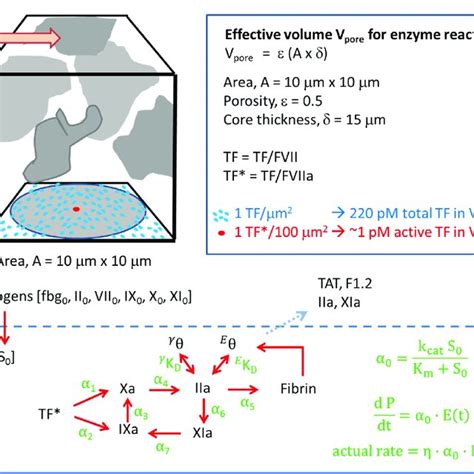 Reactions And Kinetic Parameters Used In The Odes Model Download Scientific Diagram