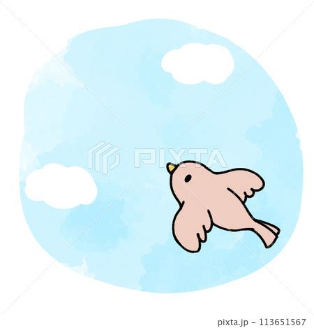 青空を飛ぶ鳥のイラスト素材 113651567 PIXTA