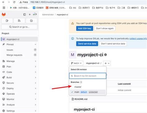10 Devops Jenkins参数化构建实现多版本发布jenkins Git构建带版本号 Csdn博客