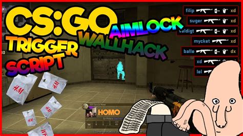 CS GO Funny Moments 31 AIMLOCK WALLHACK TRIGGERBOT YouTube