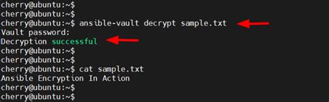 how to use ansible vault to protect sensitive data cherry servers