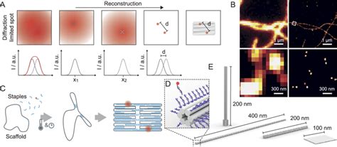 A Sketch Explaining Super Resolution Microscopy By Successive Download Scientific Diagram