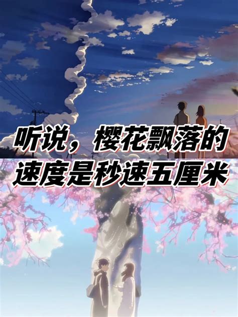 听说，樱花飘落的速度是秒速五厘米 小红书 花瓣网