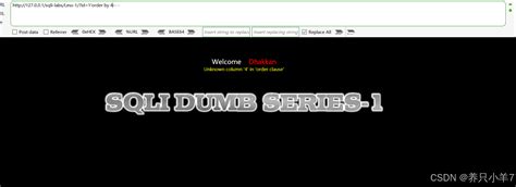 sql labs靶场 sql靶场网站 csdn博客
