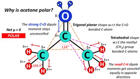 Acetone Structure Diagram