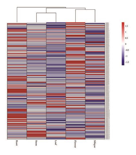 A And B Heatmap Of Expression Profiles In Log2 Based Fpkm For