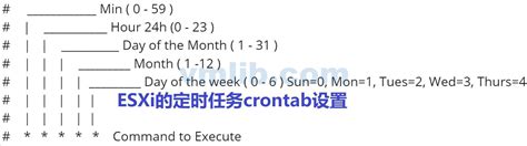 esxi定时任务 计划任务（esxi cron crontab vm技术库