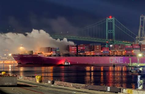 General Average Vs Particular Average Complete Guide