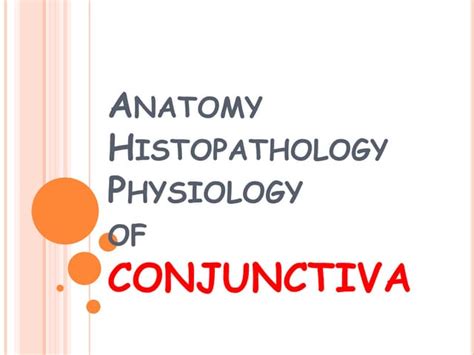 Anatomy And Pathophysiology Of Conjunctivapptx