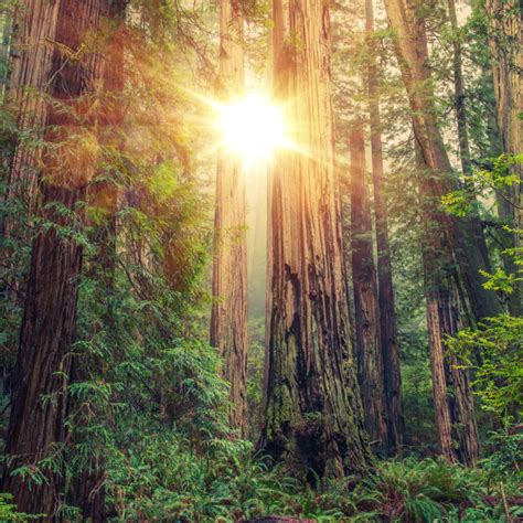 Coaching Scrum Adventures