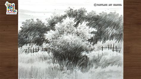 How To Draw And Shading Bushes And Trees With Very Easy Pencil Strokes Simple Method Pencil