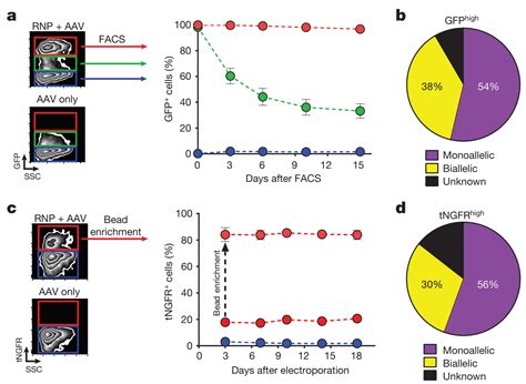 High Throughout Gene Knockout Services Mtoz Biolabs