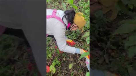 영심아밤줍다가엉덩방아다어펐어요 Youtube