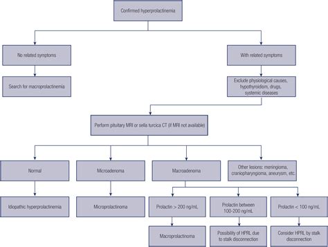 Scielo Brazil Diagnosis Of Hyperprolactinemia In Women A Position