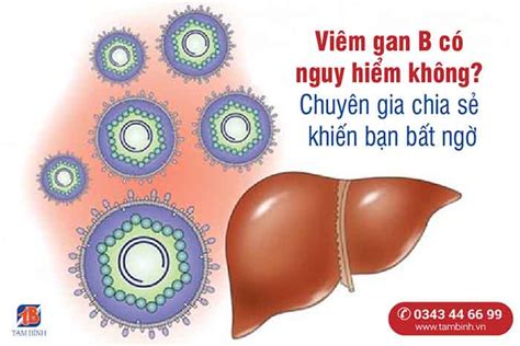 Vi M Gan B C Nguy Hi M Kh Ng Chuy N Gia Chia S Khi N B N B T Ng