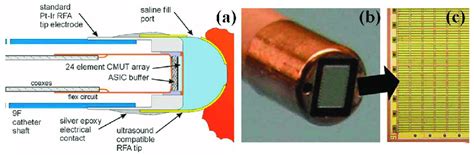 Capacitive Micromachined Ultrasound Transducers Cmuts Based Download Scientific Diagram