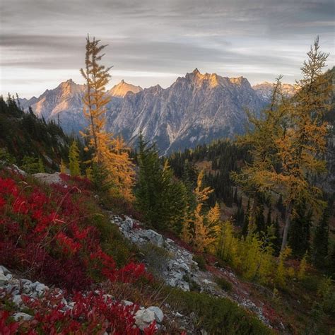 Pacific Northwest Etsy