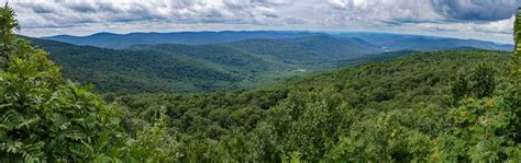 Hike The Huckleberry Loop From Huckleberry Loop Road