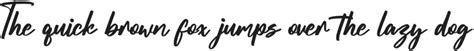 Salty Bash Tropical Script
