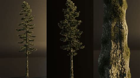 Realistic Tree Tutorial Tutorials Tips And Tricks Blender Artists Community