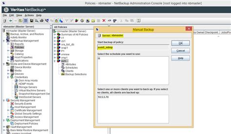 Remote Infrastructure Management Netbackup 812 Ndmp Backup Configuration Netapp Ontap 97