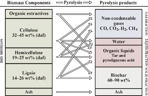 Conversion Of Biomass Into Pyrolysis Product Biochar Download Scientific Diagram