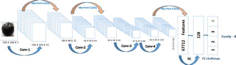Proposed Fruit Cnn Architecture Download Scientific Diagram
