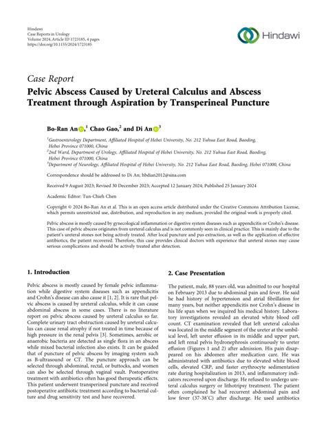 Pdf Pelvic Abscess Caused By Ureteral Calculus And Abscess Treatment