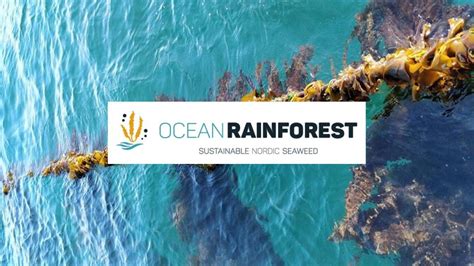 Ocean Rainforest Raises 15 Million To Scale Farming Operations
