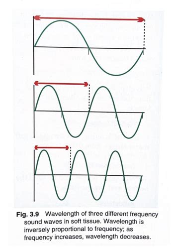 Ultrasound Physics Relationships Flashcards Quizlet