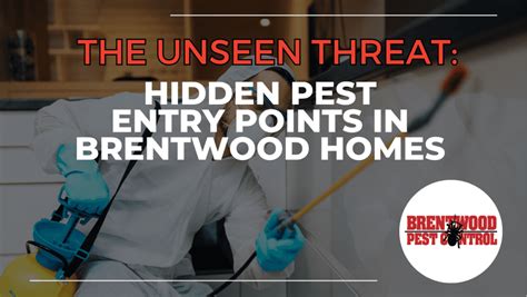 The Unseen Threat Hidden Pest Entry Points In Brentwood Homes