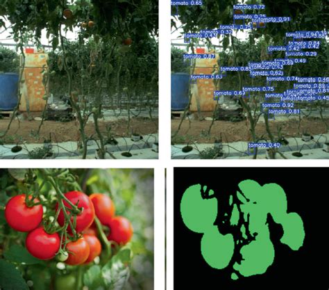 Autonomous Mobile Node For Plant Imagery And Health Monitor In