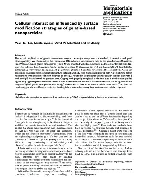 Pdf Cellular Interaction Influenced By Surface Modification