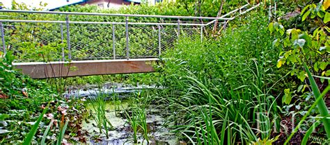 Cmu Gates Hillman Complex Eisler Landscapes
